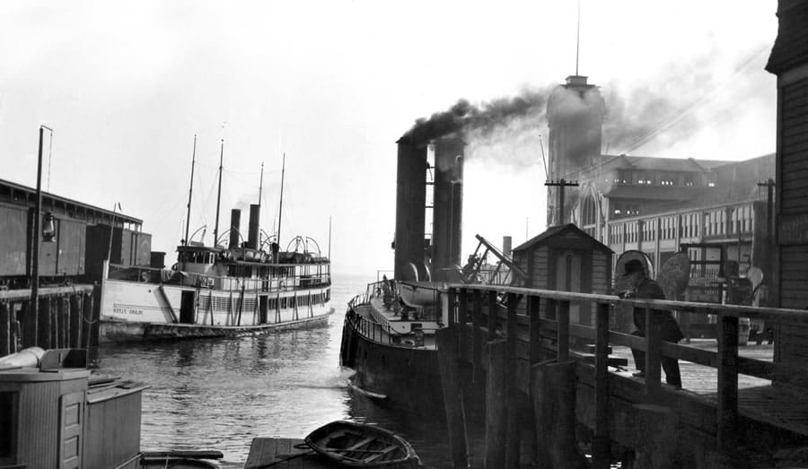 Depression of the 1890s Essay